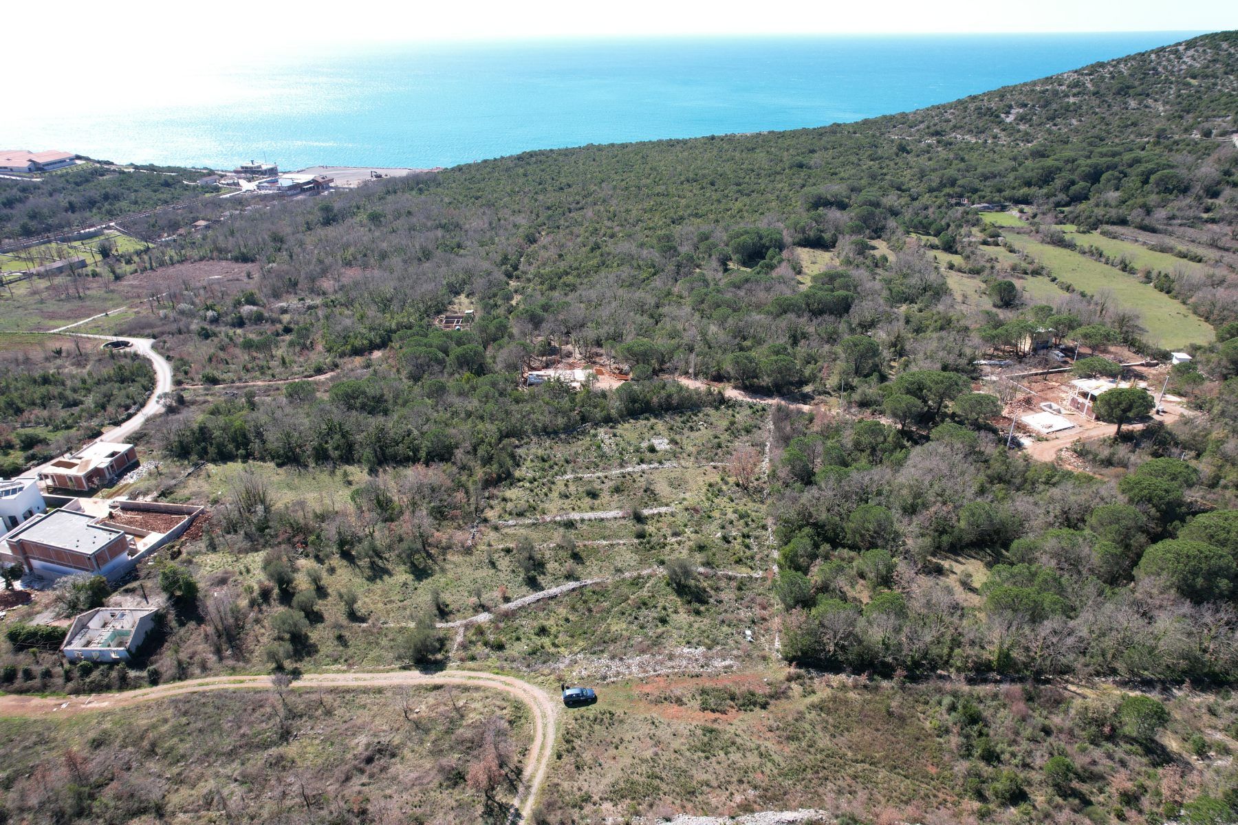 Plot 4000m2 in the immediate vicinity of the national restaurant ...